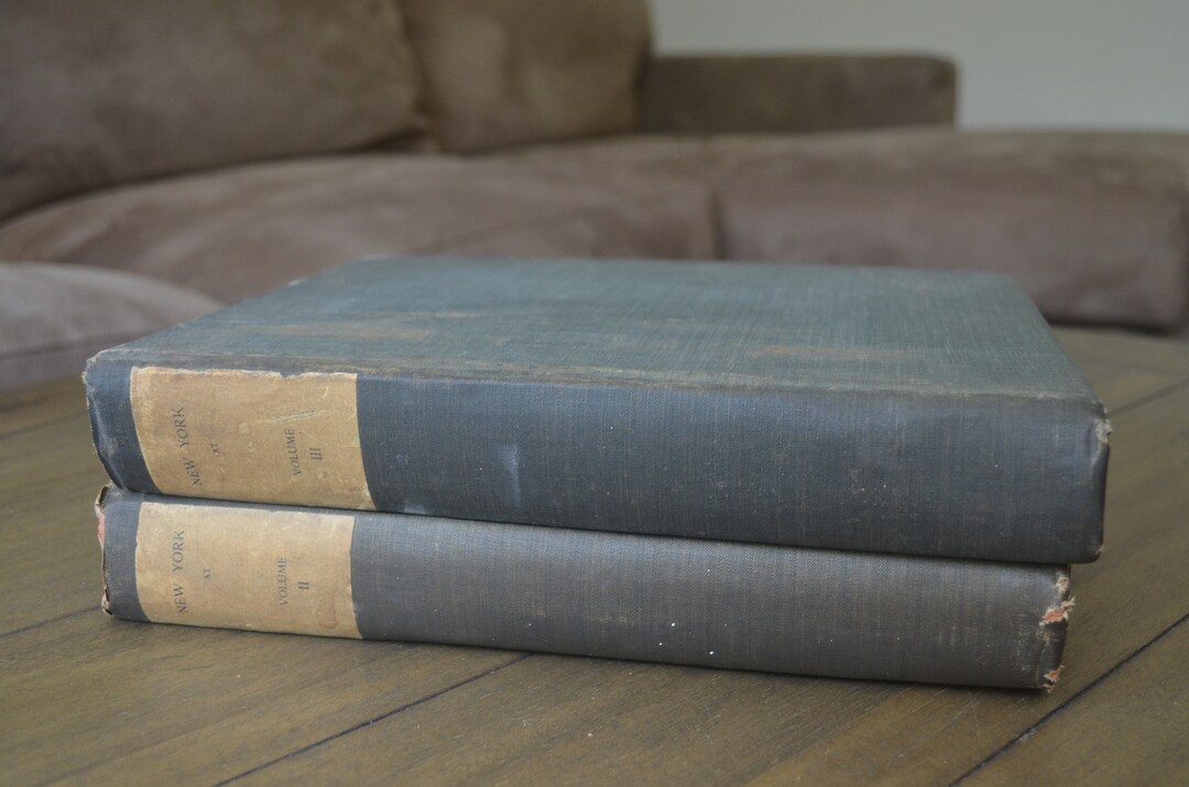 Vintage Civil War Monuments Book, Gettysburg Soldiers, 1900 (volumes 2/ ...