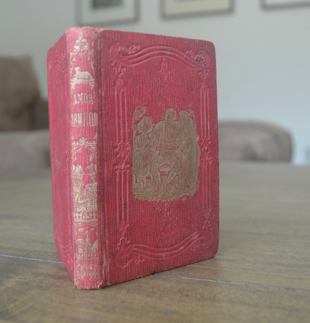 Tiny Antique Children's Book From 1800's, Amos Armfield or the Leather ...