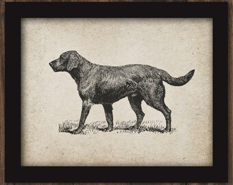 Black Lab Prints - Etsy