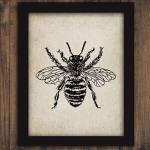 Printable Graphic Bee Collage Sheet Image Bees Digital - Etsy