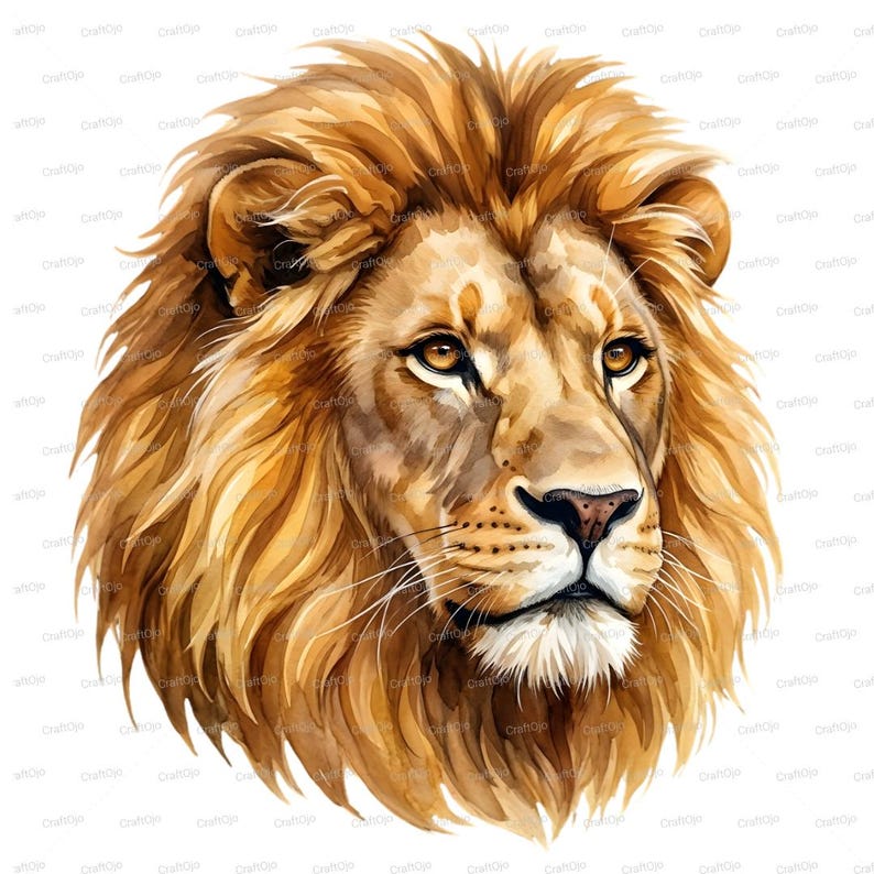 Watercolor Lion Clipart Bundle PNG | Safari Nursery Baby Boy Set | Wild ...
