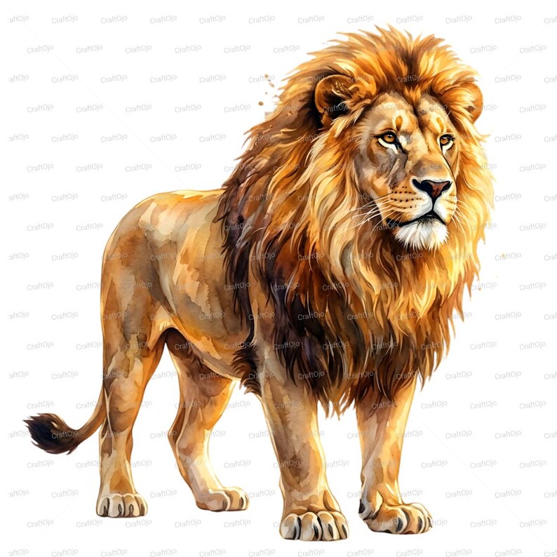 Watercolor Lion Clipart Bundle PNG | Safari Nursery Baby Boy Set | Wild ...