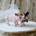 Wedding Cake Topper Pig Cake Topper Country Wedding Pig Farmer Hog ...