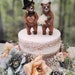 Brown Bear Grizzly Bear Fall Themed Wedding Cake Topper Sunflower ...