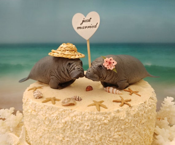 Walrus Birthday Cake Video