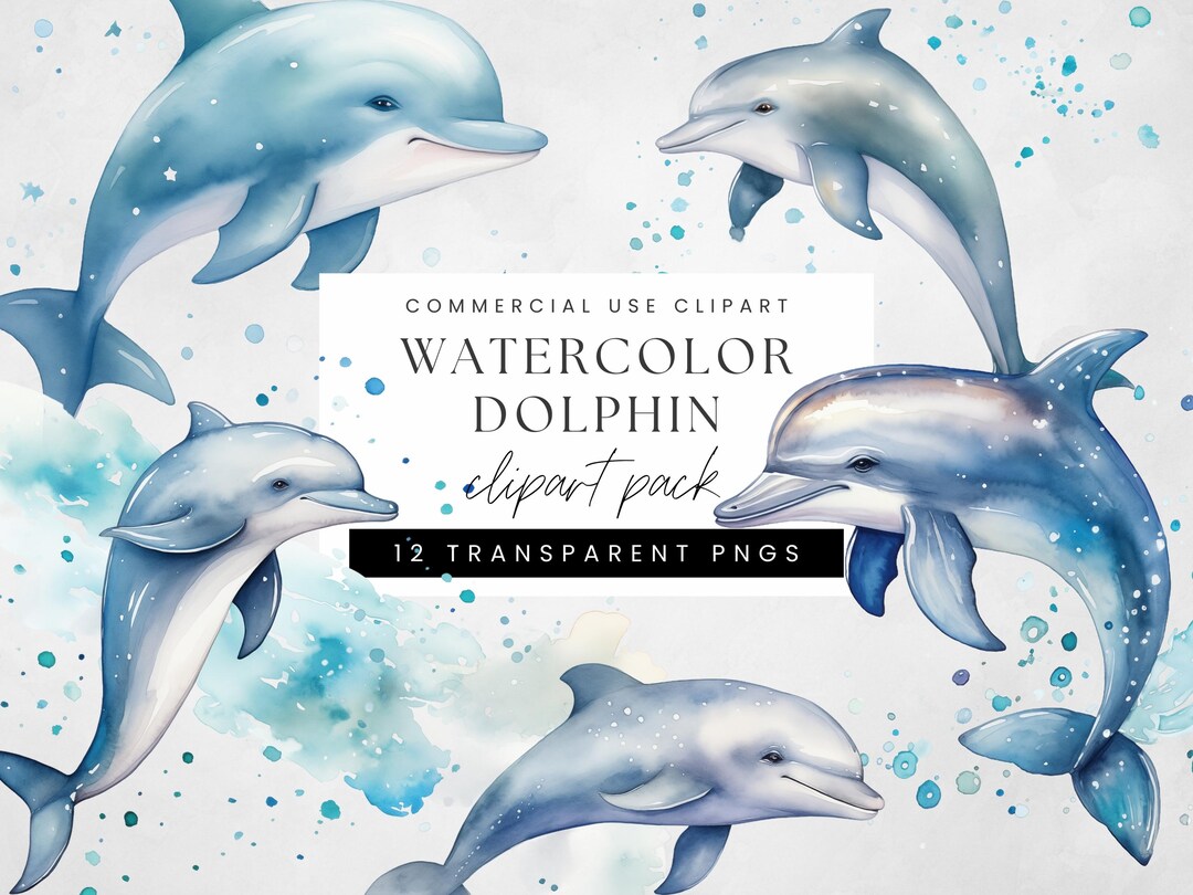 Watercolor Dolphin Clipart, Cute Sea Animal Pngs, Ocean Nursery ...