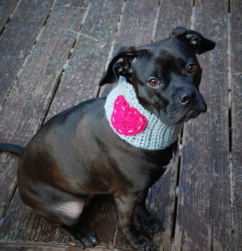Crochet Dog Cowl Grey With Hot Pink Heart Made to Order - Etsy
