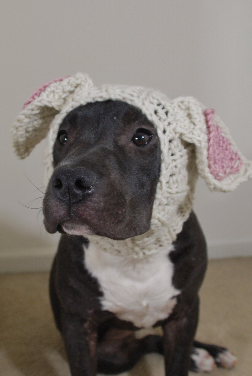 Crochet Dog Snood Beige Rabbit MADE TO ORDER - Etsy