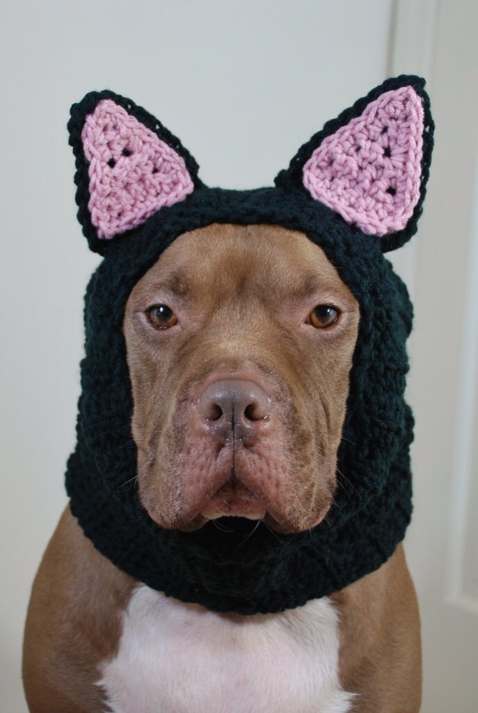 Black Cat Dog Snood MADE TO ORDER - Etsy