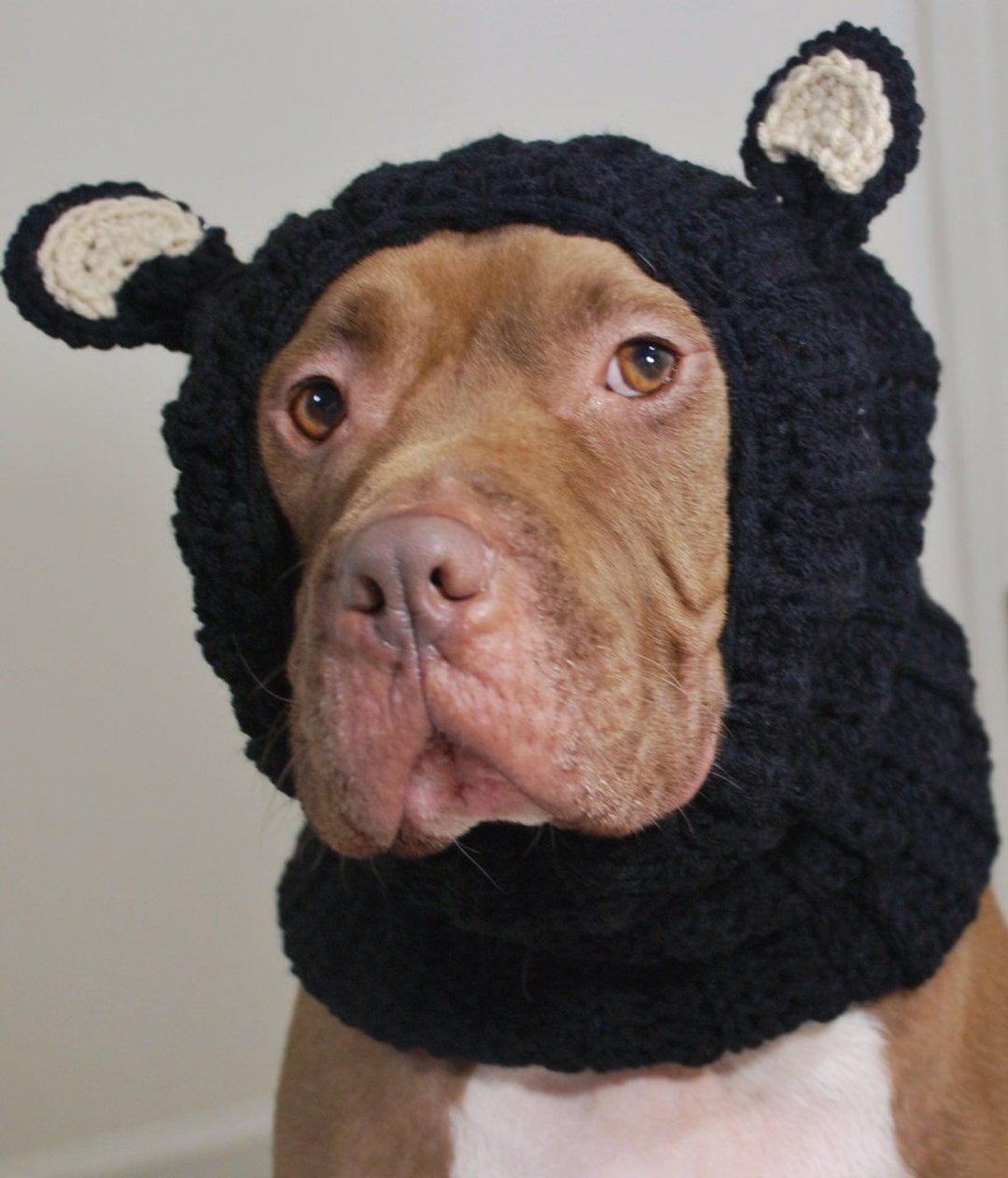 Black Bear Dog Snood MADE TO ORDER - Etsy