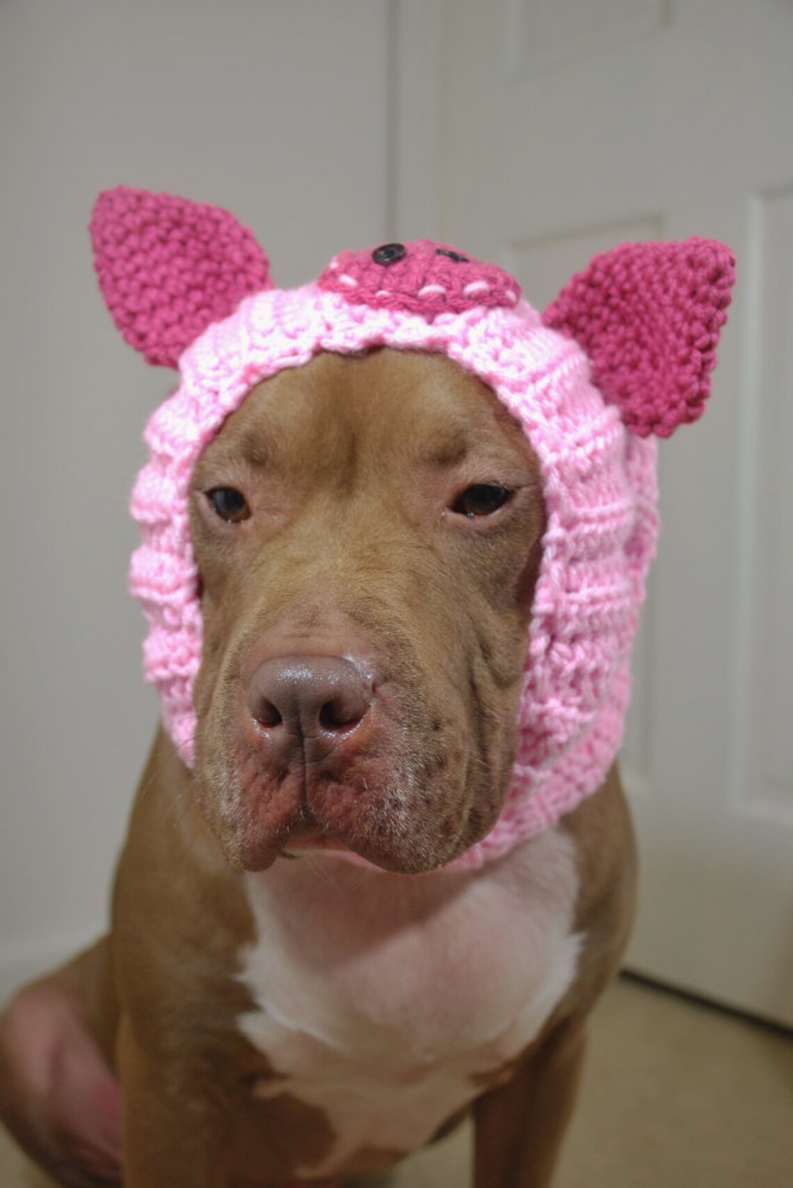 Dog Snood Pink Pig Made to Order - Etsy