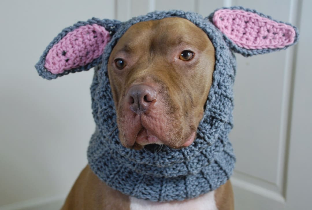 Crochet Dog Snood Grey Rabbit MADE TO ORDER - Etsy
