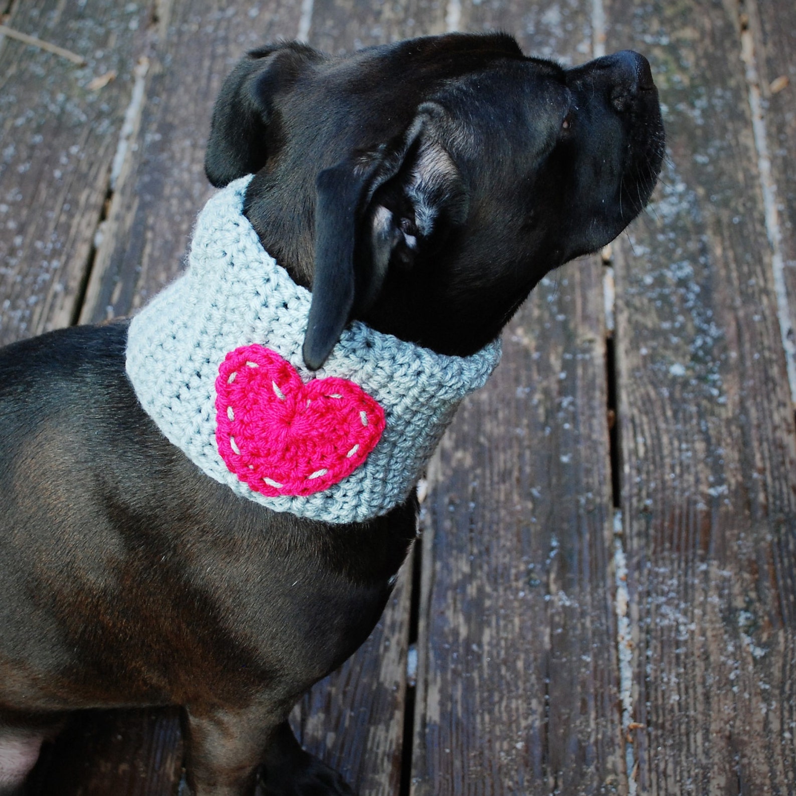 Crochet Dog Cowl Grey With Hot Pink Heart Made to Order - Etsy