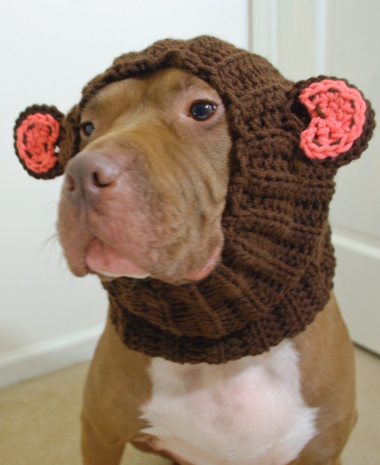 Dog Snood Monkey MADE TO ORDER | Etsy