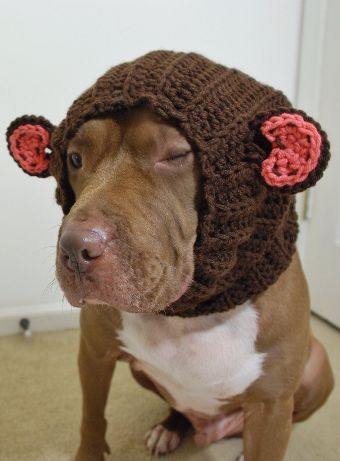 Dog Snood Monkey MADE TO ORDER | Etsy