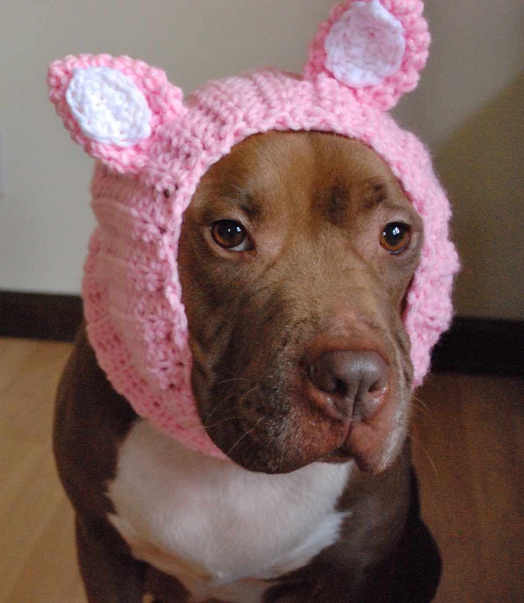 Dog Snood Pink Cat MADE TO ORDER - Etsy