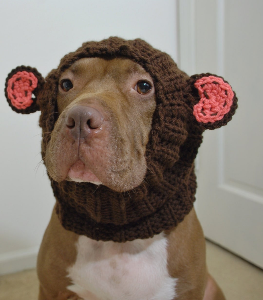 Dog Snood Monkey MADE TO ORDER - Etsy