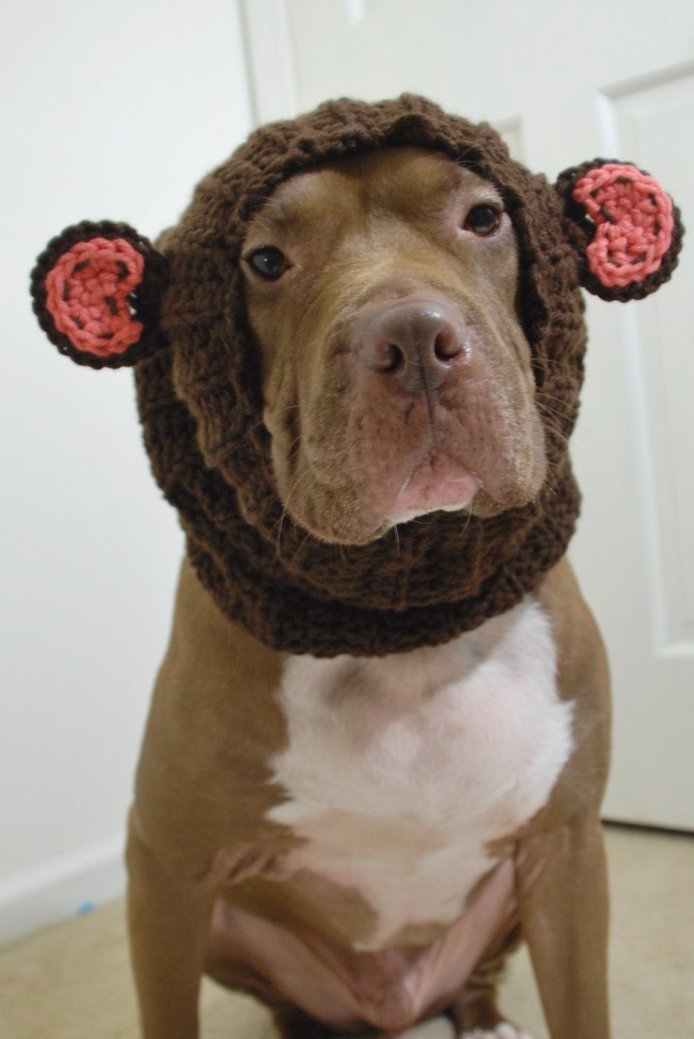 Dog Snood Monkey MADE TO ORDER | Etsy