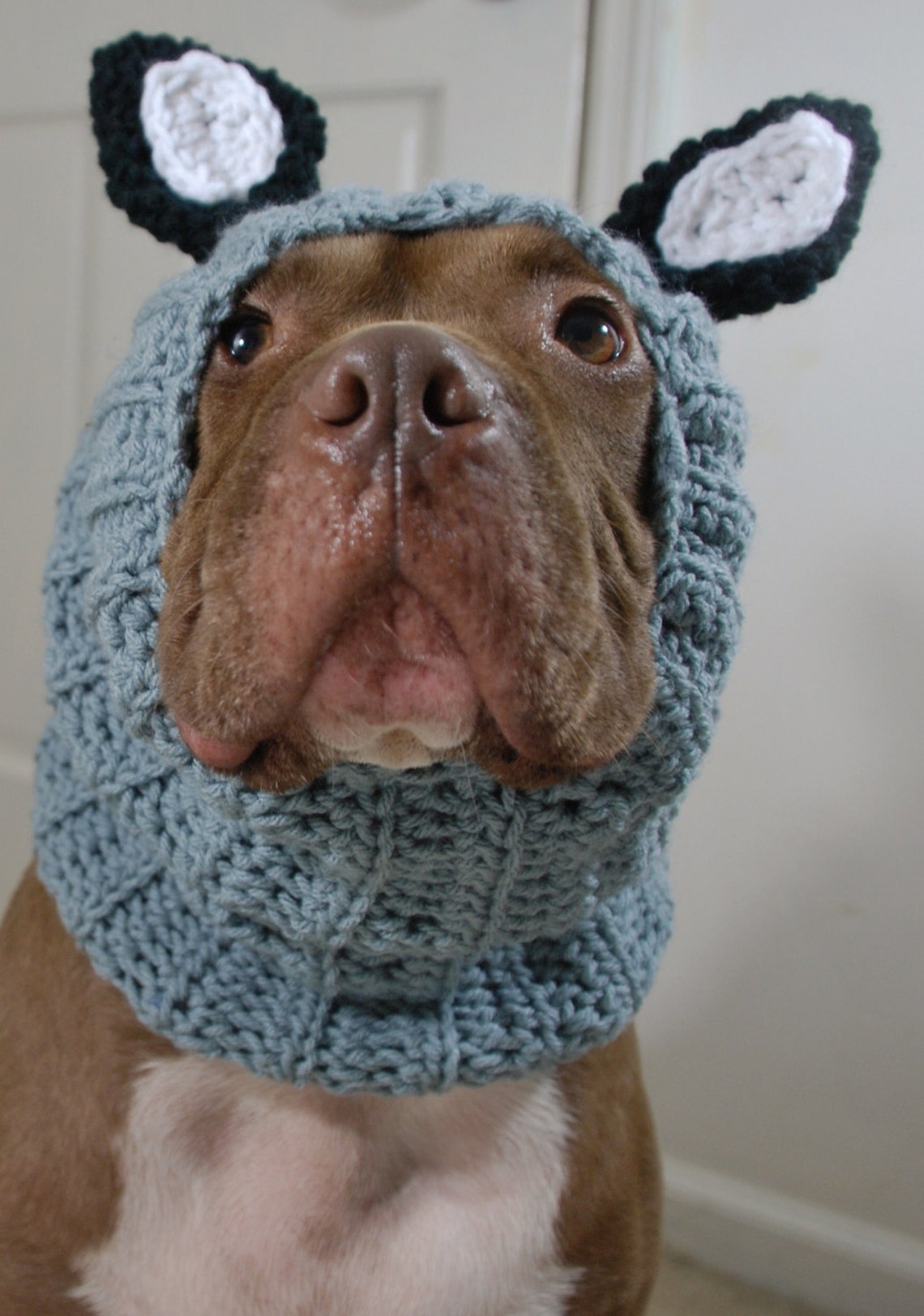 Dog Snood Grey Wolf MADE TO ORDER - Etsy