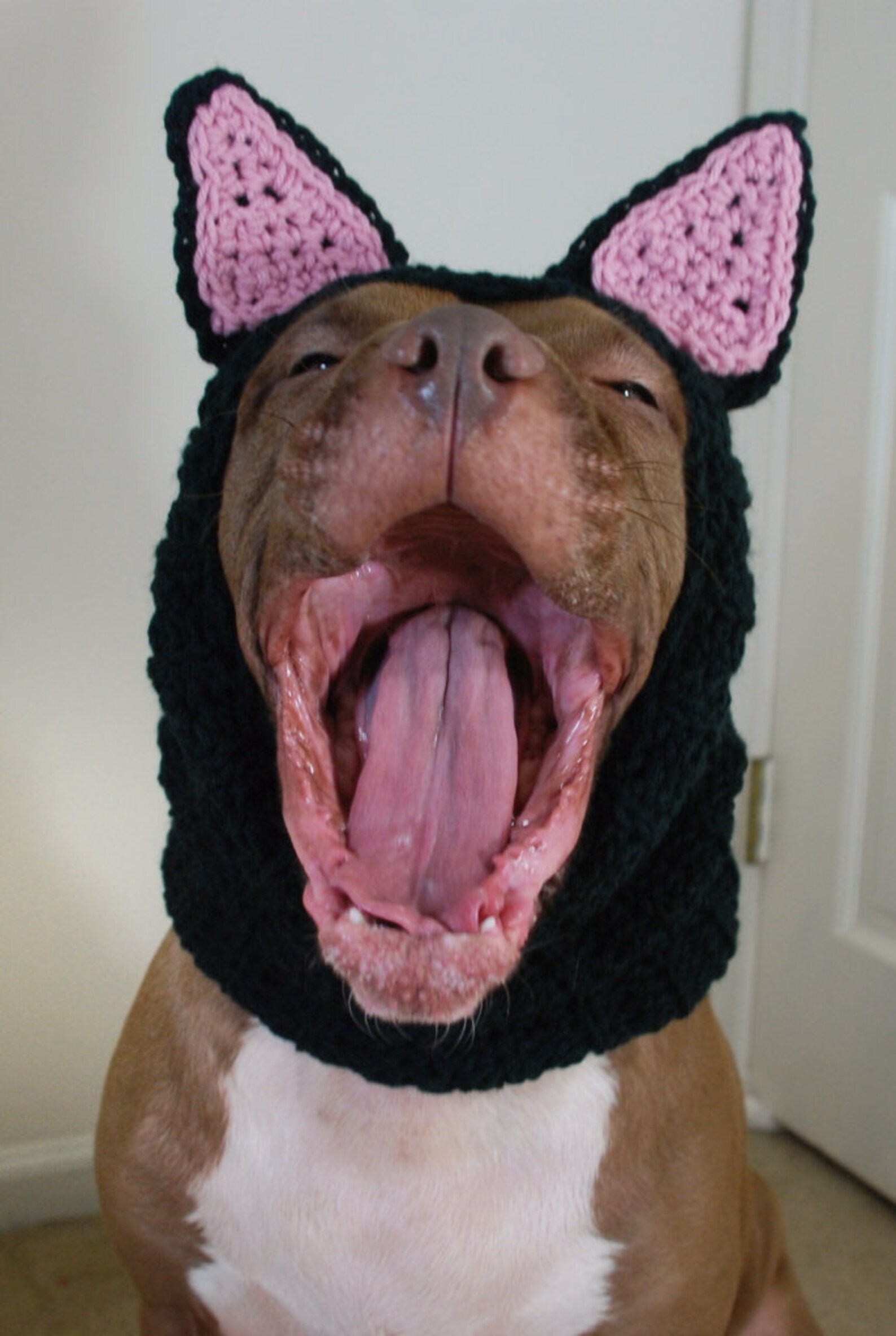 Black Cat Dog Snood MADE TO ORDER - Etsy