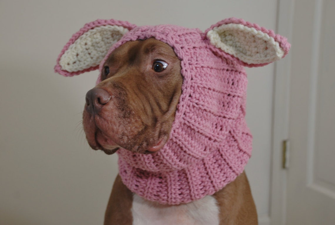 Dog Snood Crochet Pink Rabbit MADE TO ORDER - Etsy