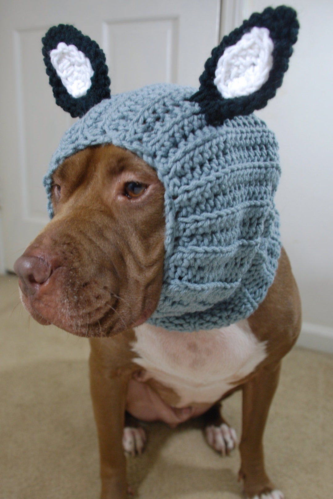 Dog Snood Grey Wolf MADE TO ORDER - Etsy