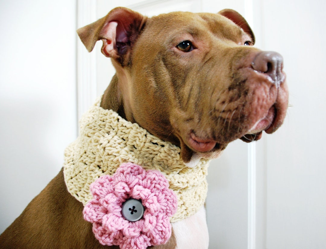 Dog Cowl Beige With Pink Flower Crochet Made to Order - Etsy