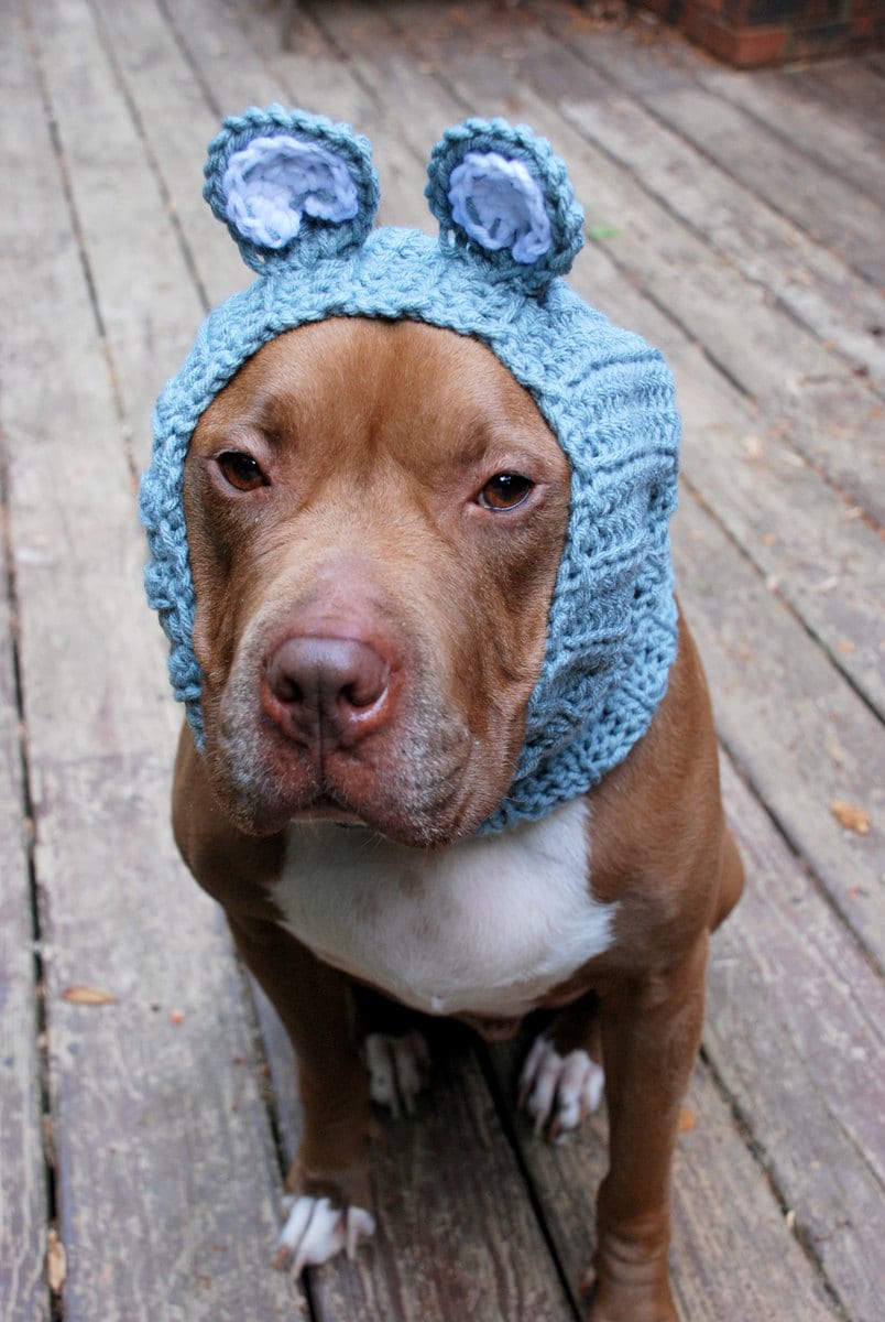 Dog Snood Hippo MADE TO ORDER - Etsy