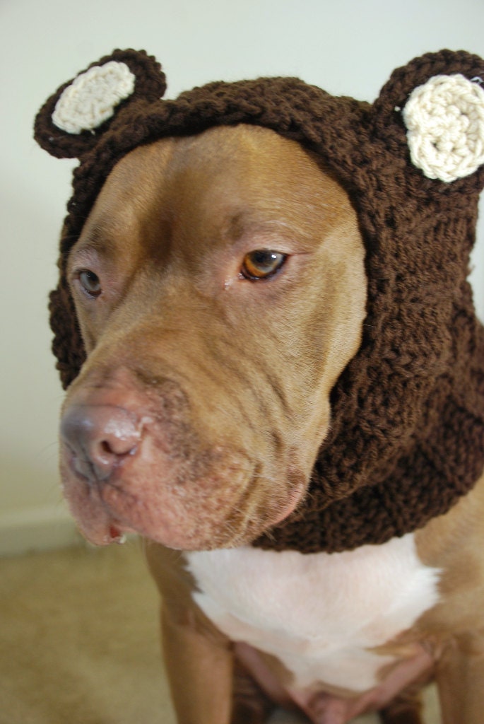 Bear Dog Snood MADE TO ORDER - Etsy