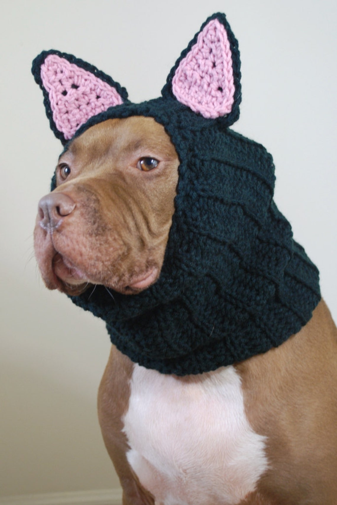 Black Cat Dog Snood MADE TO ORDER - Etsy