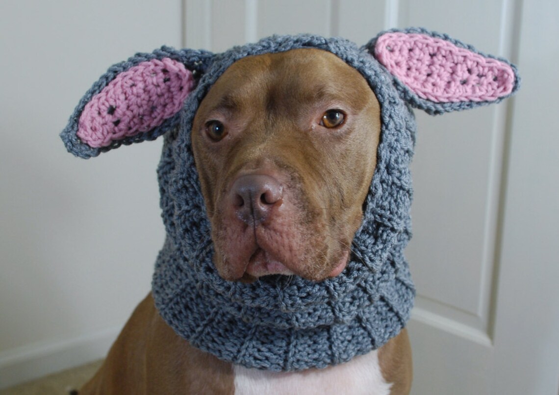Crochet Dog Snood Grey Rabbit MADE TO ORDER - Etsy