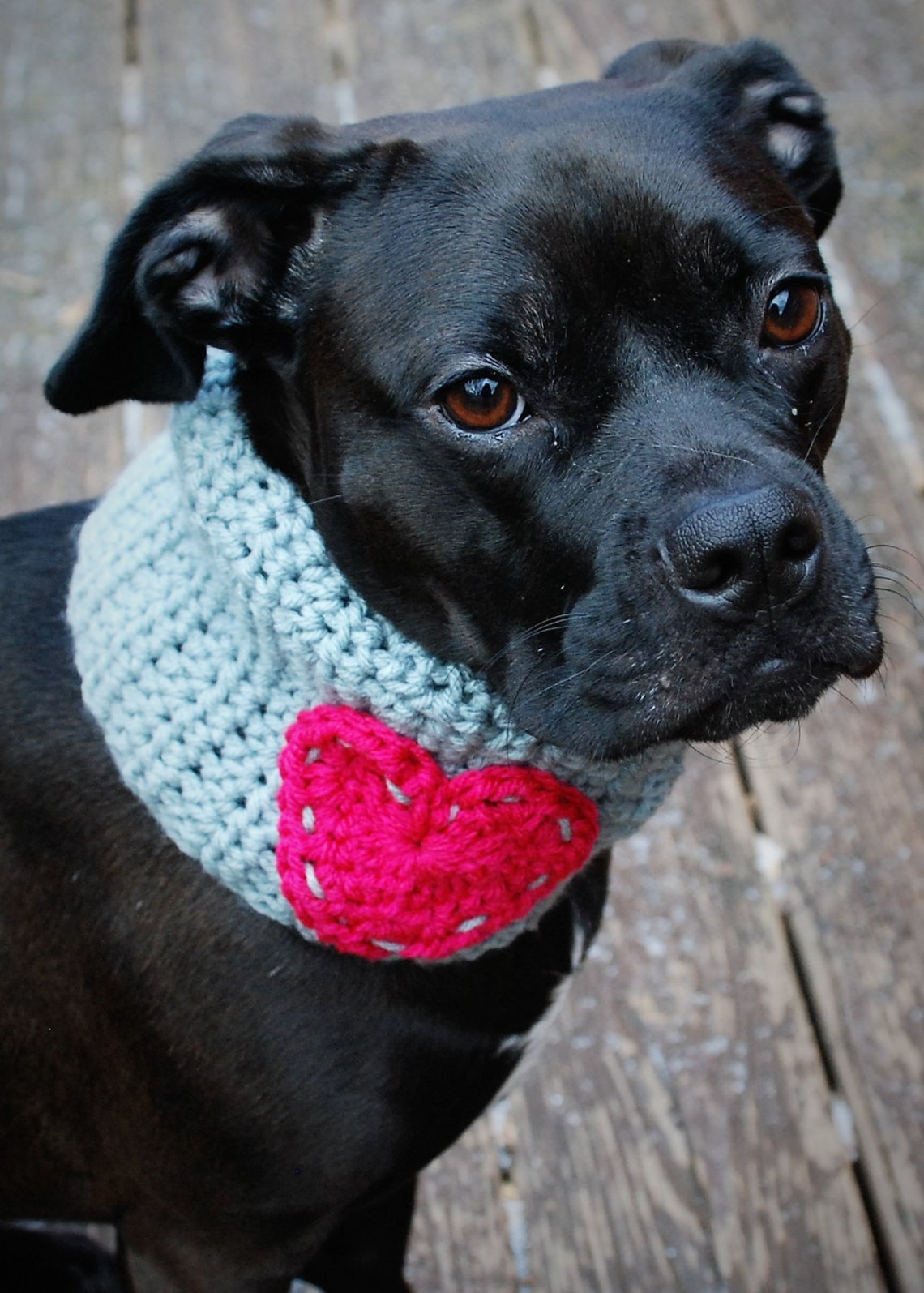 Crochet Dog Cowl Grey With Hot Pink Heart Made to Order - Etsy
