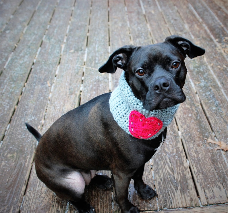 Crochet Dog Cowl Grey With Hot Pink Heart Made to Order - Etsy