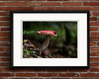 Robert Plant Led Zeppelin Film Slide Photo From 1977 Concert - Etsy