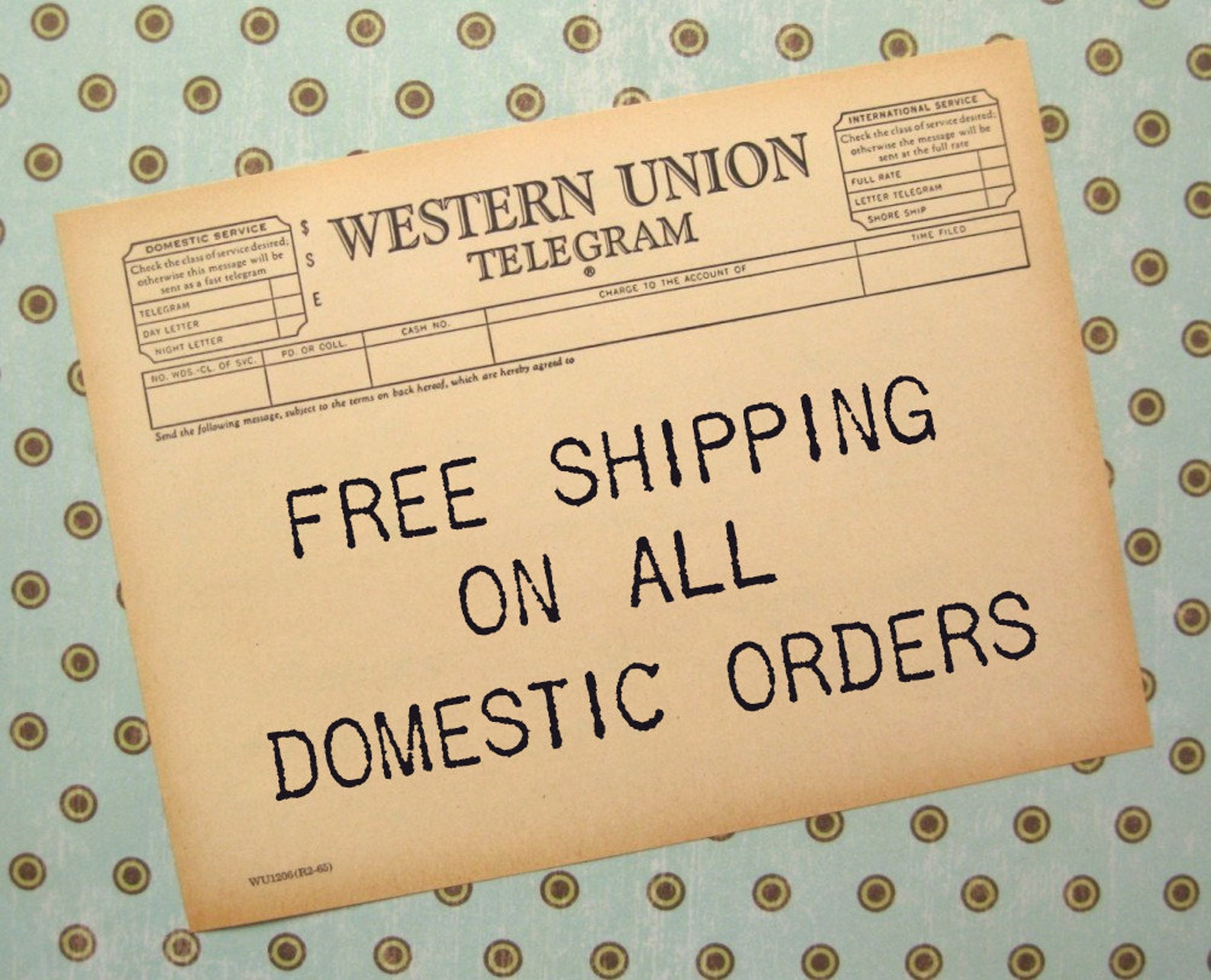 Photo of Hummingbird Pink Hoya Flowers Nature, Ready to Frame ...