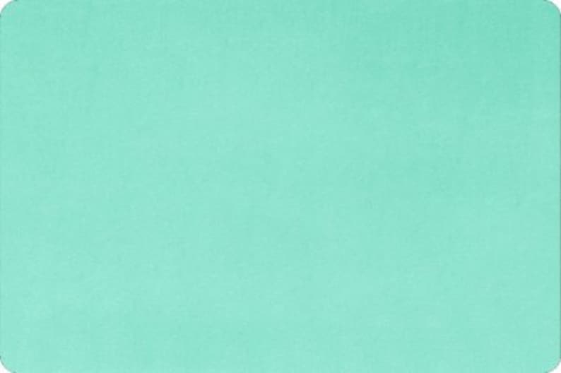 Aruba Blue Solid Cuddle® 3 Smooth Minky Plush From Shannon - Etsy