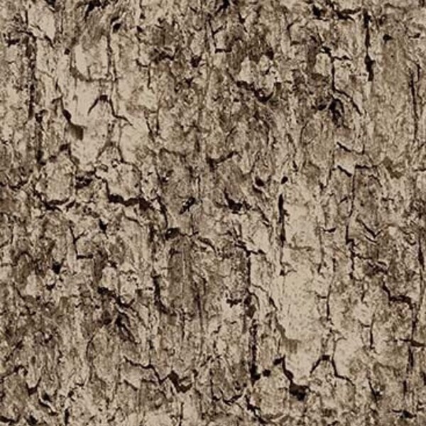 Tree Bark - Etsy