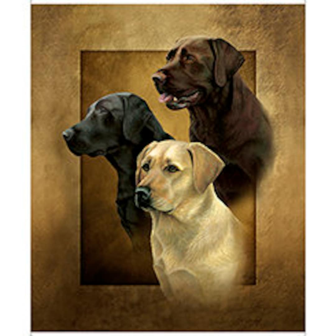 Labrador Picture Panel 36" by 44" From the for the Love of Labs ...