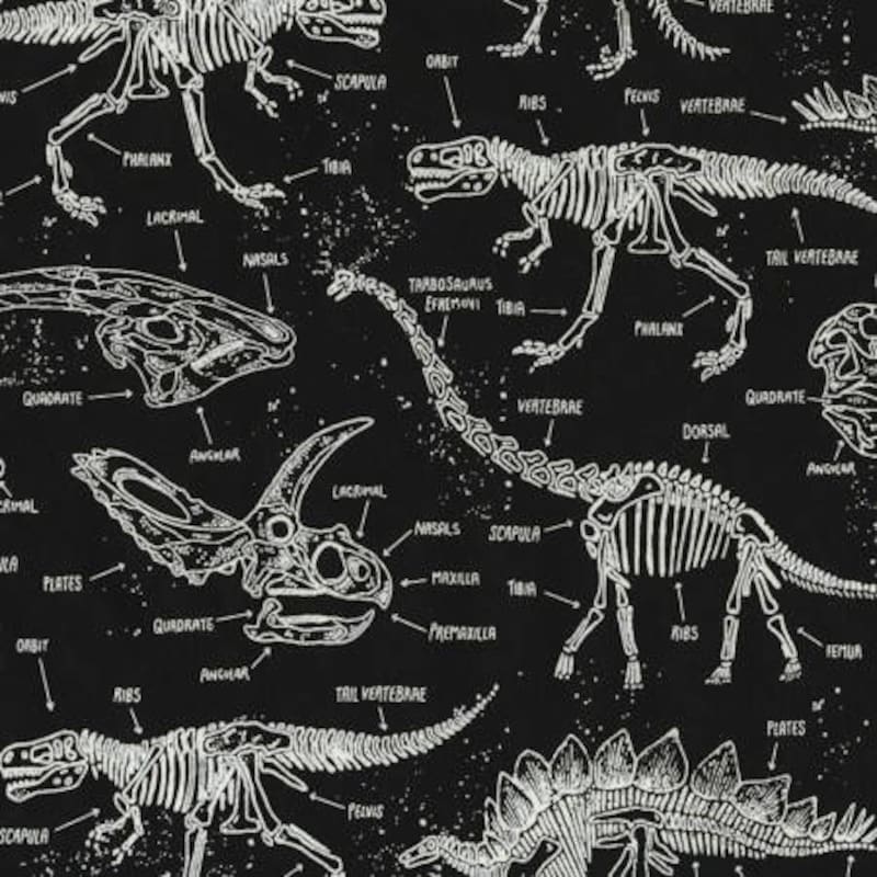 Skeleton Dinosaur Rug - Etsy