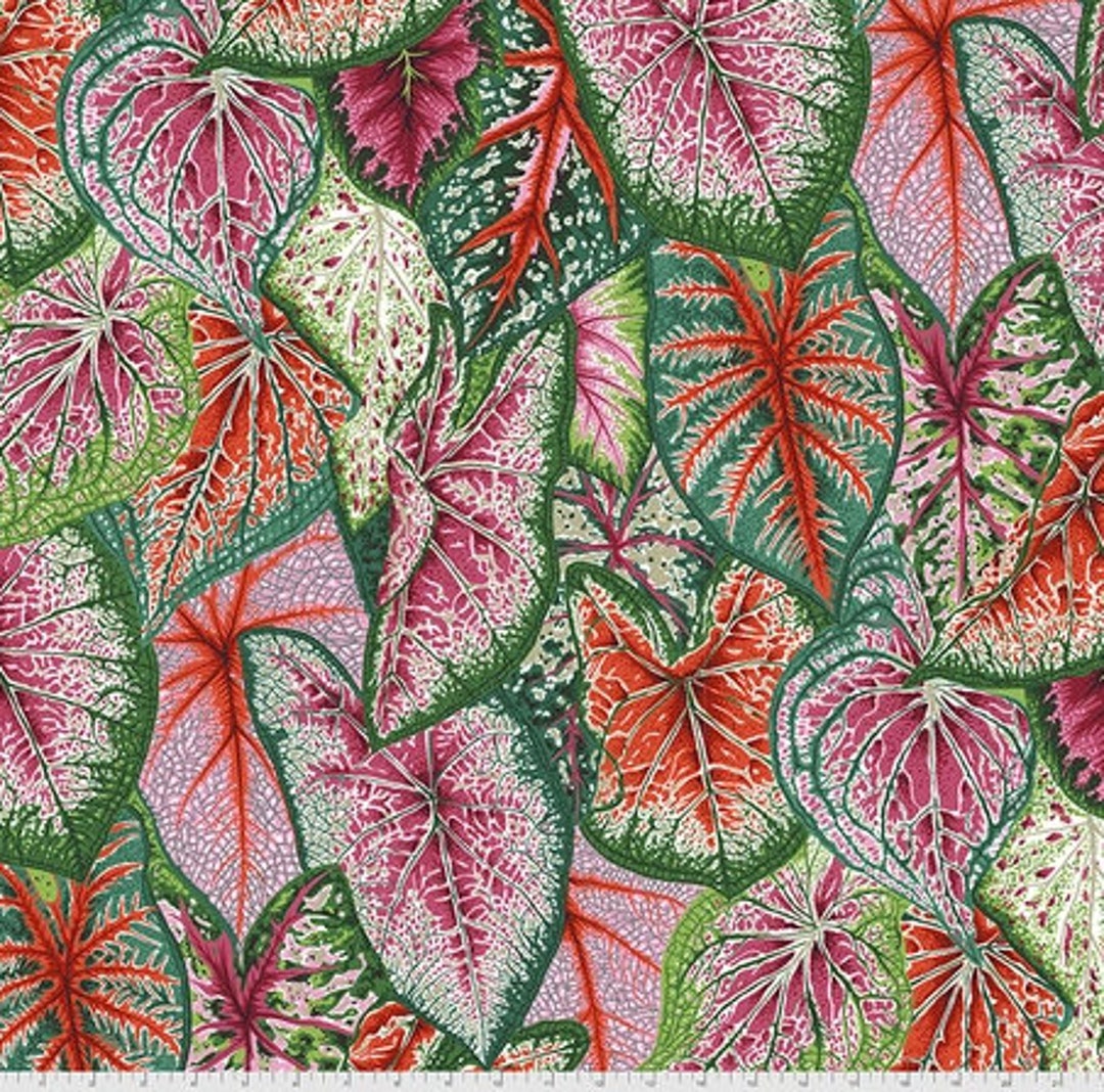 Kaffe Fassett- Caladium Leaves in Bright for the Kaffe Fassett Collective by Free Spirit Fabric ...
