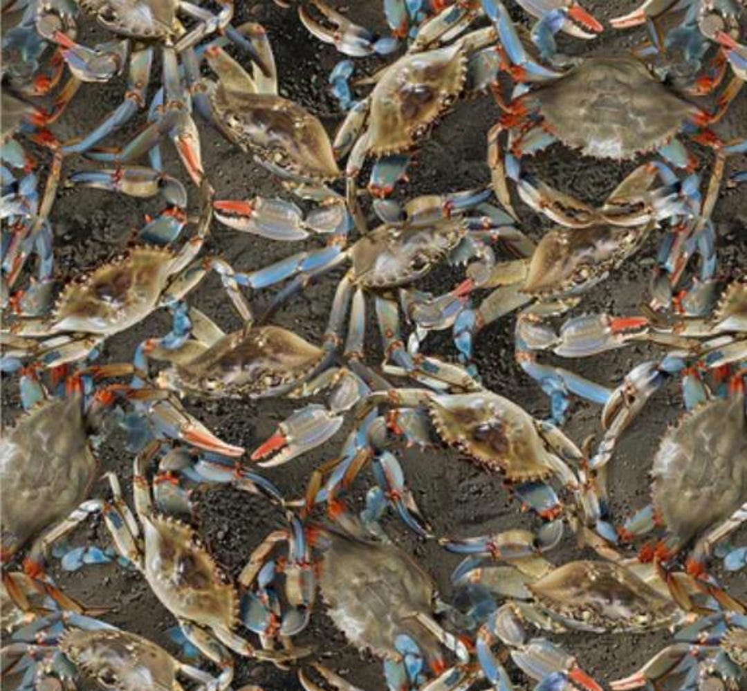 Oh Crab! in Chesapeake Blue From the A La Carte Collection by Whistler ...