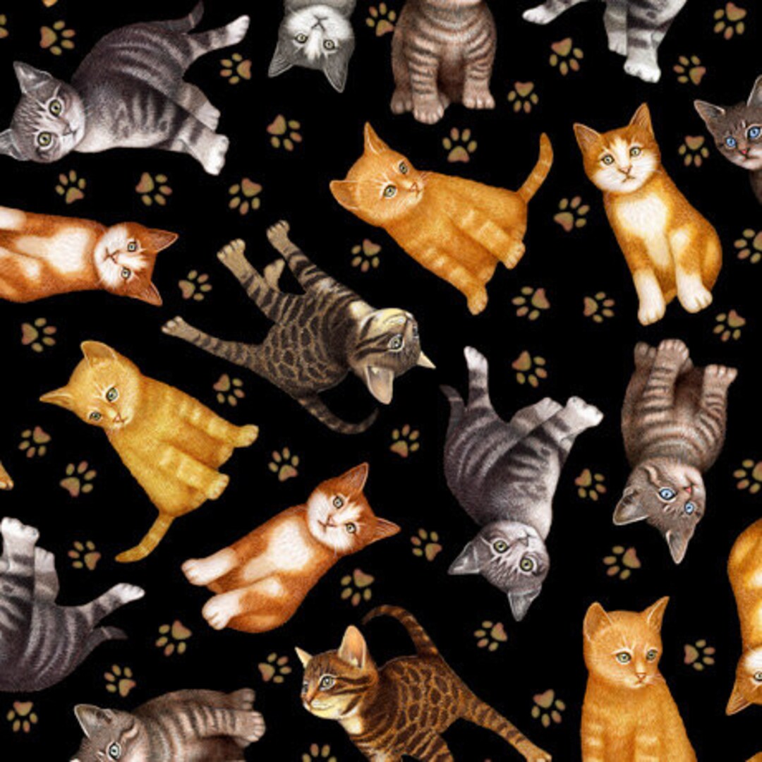 Kitten Toss in Black From Felicity Collection by Dan Morris for QT ...