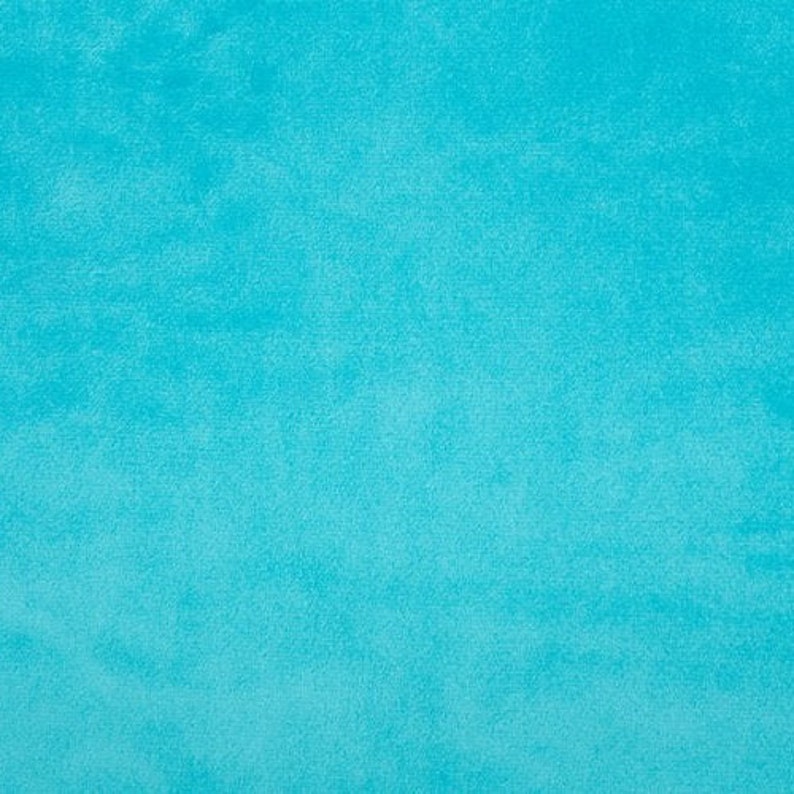 90" Extra Wide BELIZE BLUE Cuddle Smooth 3 MINKY From Shannon Fabrics ...