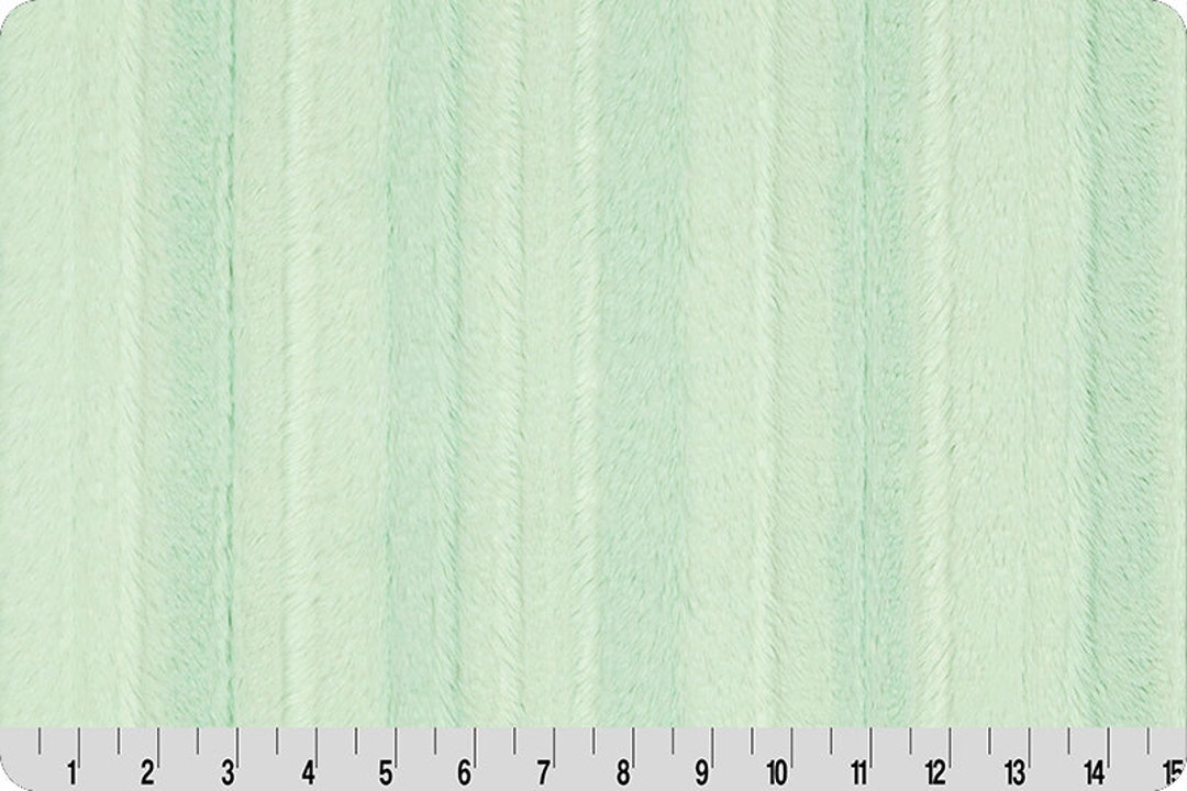 Luxe Cuddle® Vienna in Ice Green From Shannon Fabrics Furry MINKY Collection- Embossed Minky ...