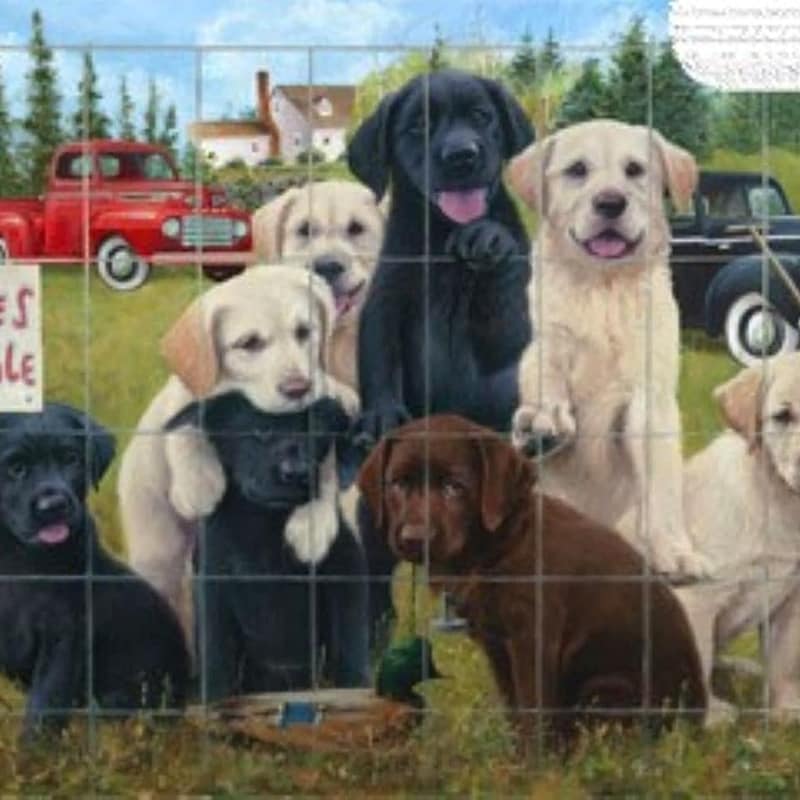 Lab Quilt Panel - Etsy