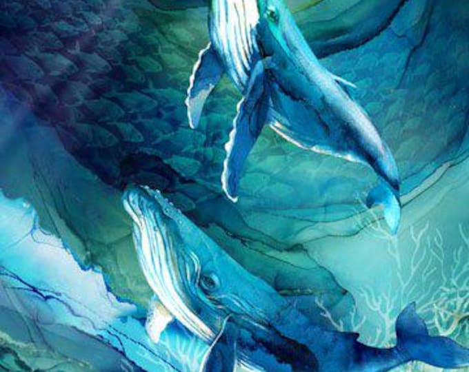 Dragonfly Dance Jelly Roll From the Dragonfly Dance Collection by ...