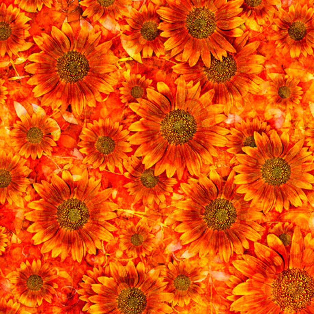 Earthwalker Sunflowers in Orange From the Blossom Collection by QT ...