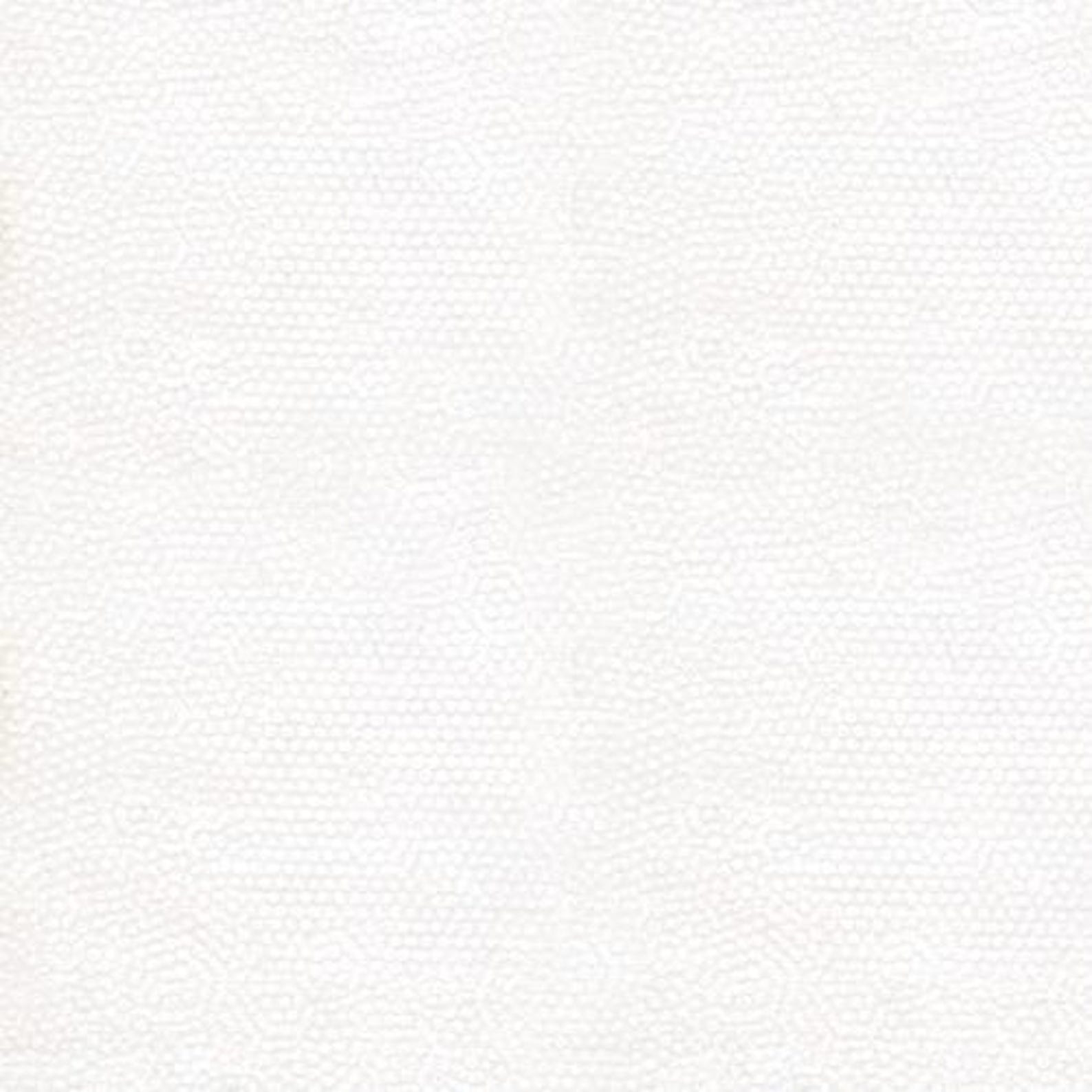 Dimple Texture in Snow From the Dimples Collection From Andover Fabrics ...