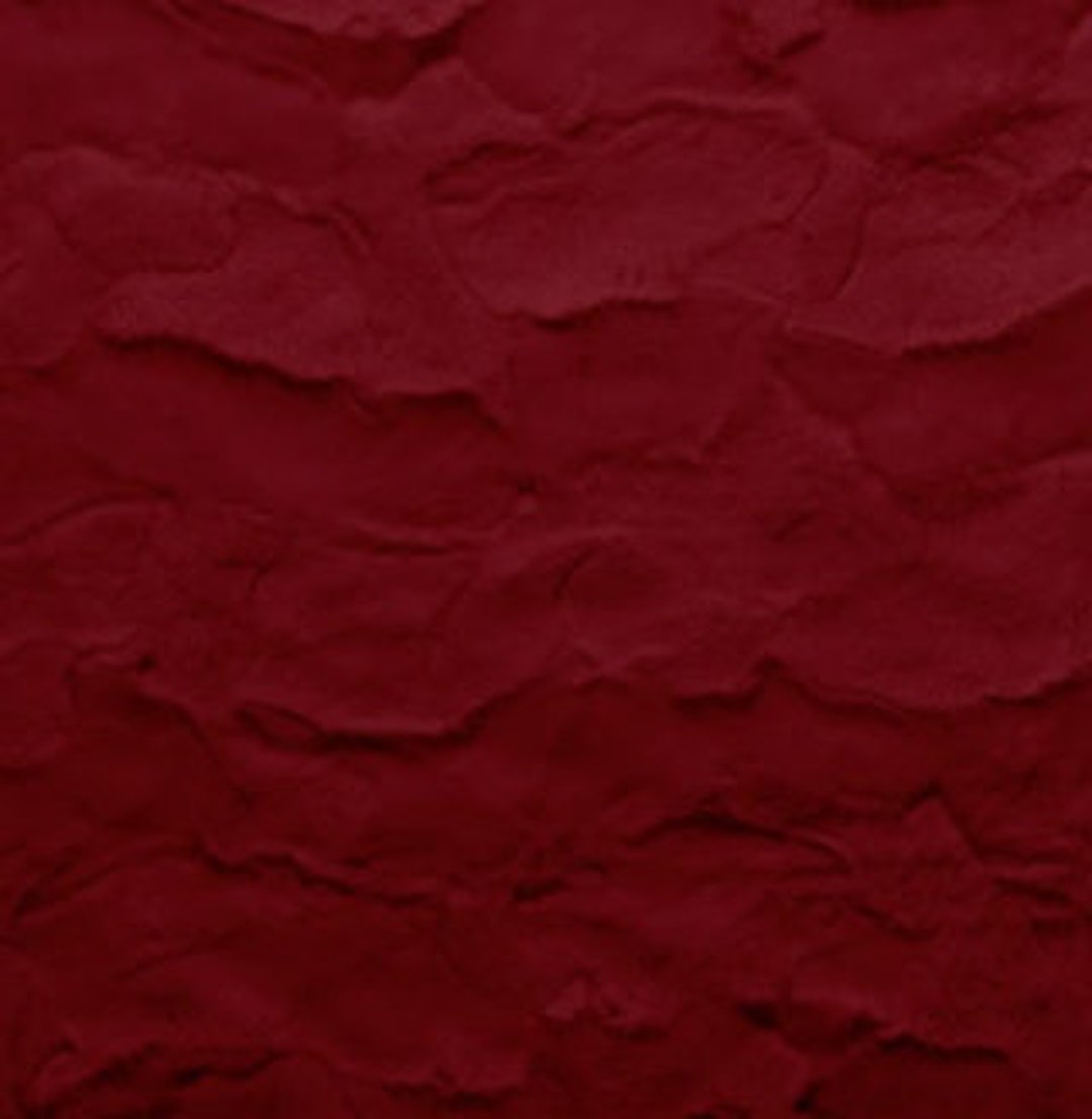 LUXURY PLUSH- Luxe Snuggle New York Furry Minky in Solid Red From EZ ...