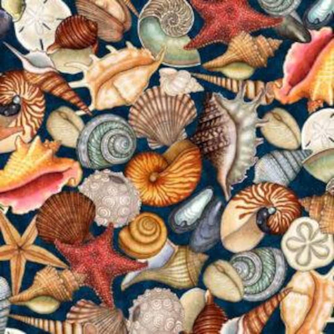 Packed Seashells in Teal From the Endless Blues Collection by ©morris ...